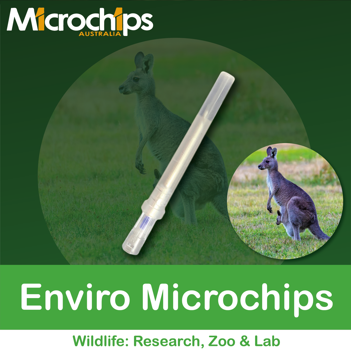 Research/Zoo/Lab Animal Microchips (Enviro) – Microchips Australia